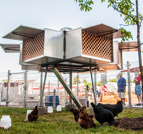Nietypowe wnętrze UFO Chicken Coop - Trendy - Sztuka Wnętrza